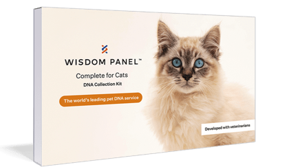 IAMS™ Pet Food + Wisdom Panel™ DNA test for Cats & Dogs